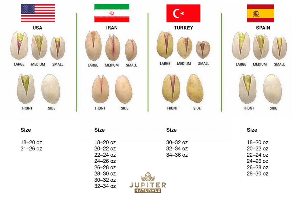 A Guide to Global Pistachio Sizes – Jupiter Pistachios GmbH